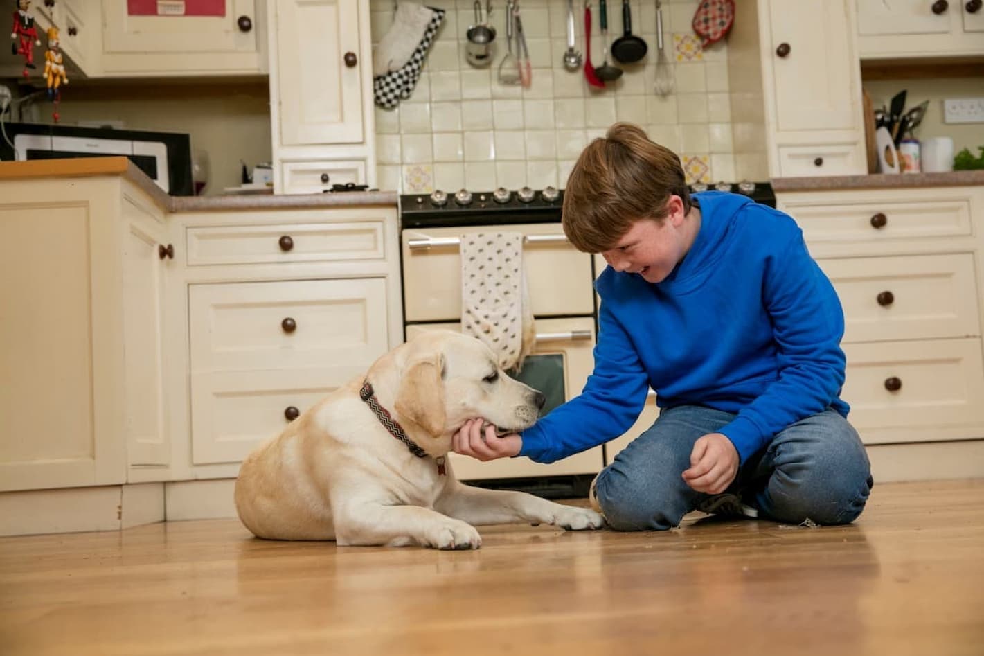Historical Vs Modern Dog Breeding Historical Vs Modern Dog Breeding